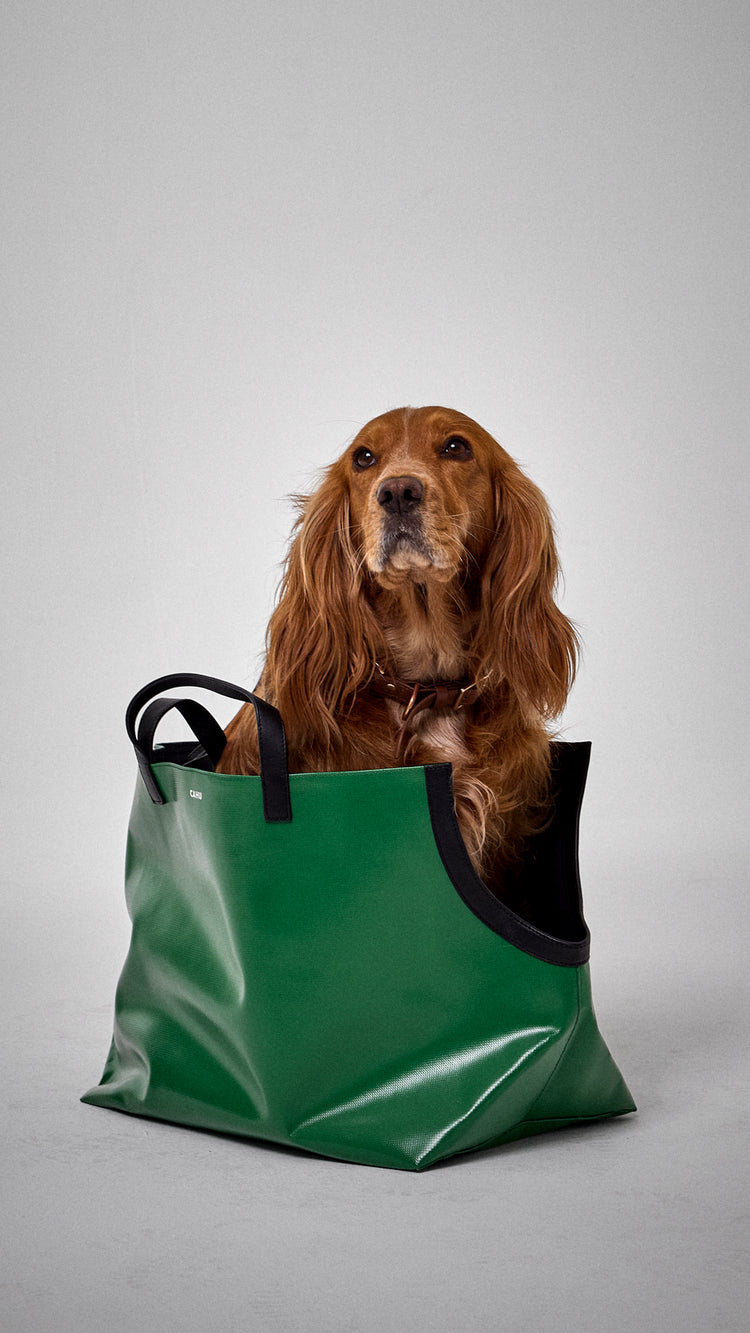 CAHU - Official Website